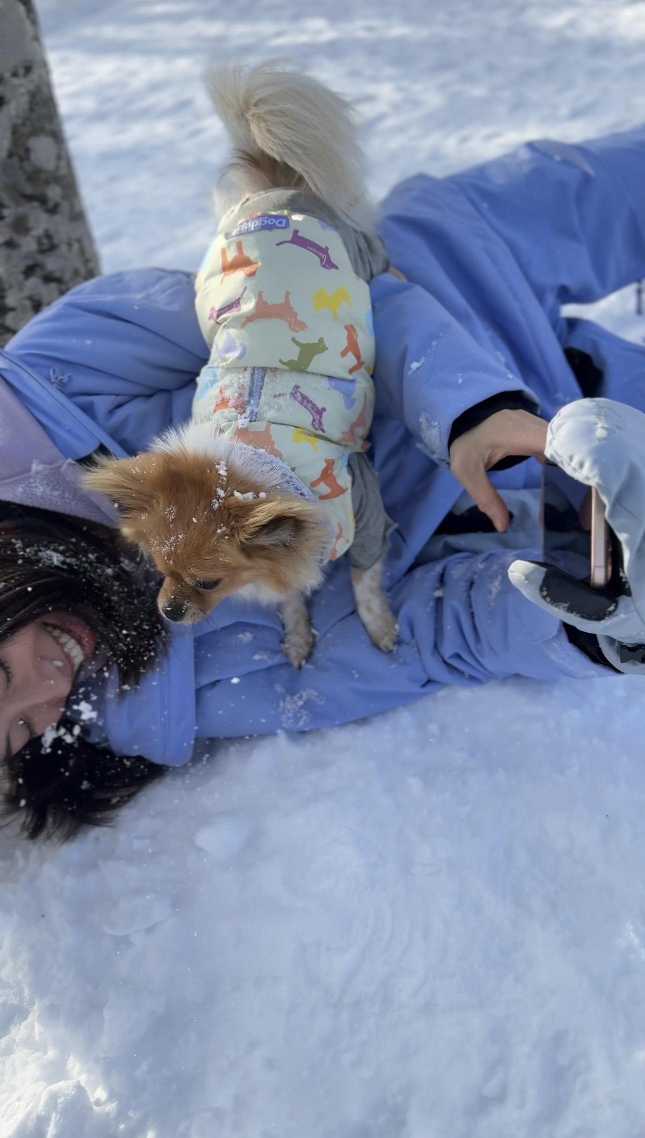 【amb.Aki】ワンちゃんとスノボ♡白馬岩岳スノーフィールド - SNOW ANGEL MAG[スノーエンジェルマガジン]公式サイト